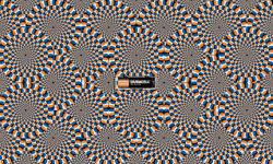 Danish Bus Optical Illusion