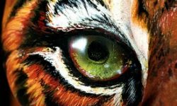 Best Optical Illusion EVER!