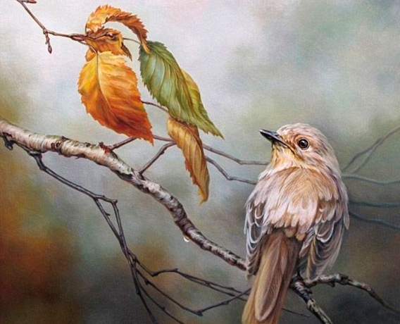 Painted Bird Optical Illusion Painted Bird Optical Illusion