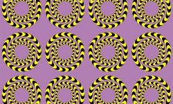 4D Hypercube Animation