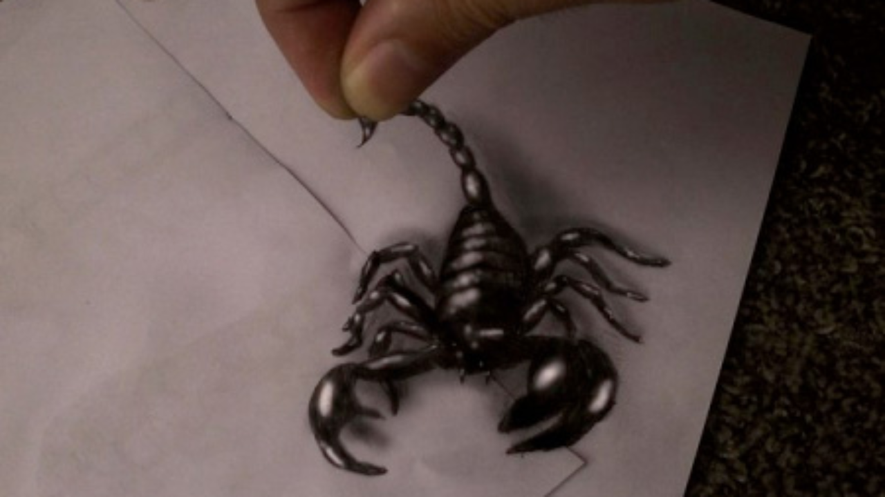 Realistic Scorpion Drawing