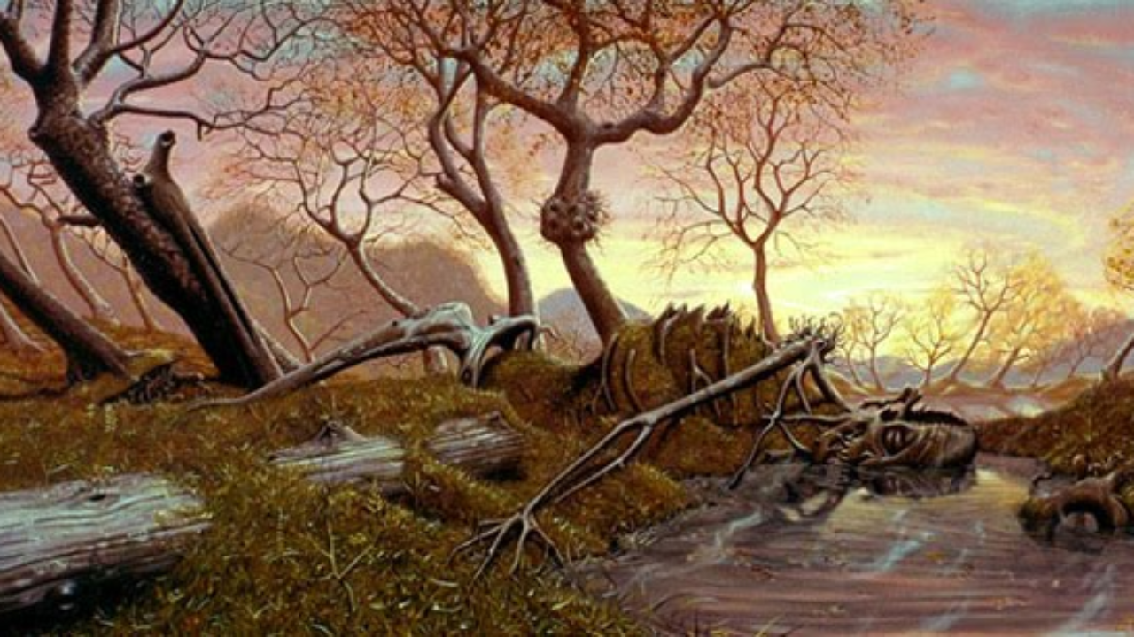 Hidden Pictures In Pictures Illusions