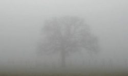 Life And Death Optical Illusion