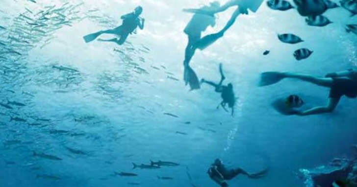 Underwater Hidden Faces Illusion