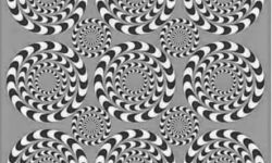 Rotating Circles Optical Illusion