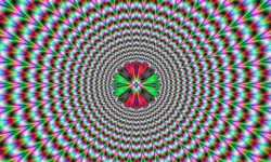 Glass of Water Optical Illusion