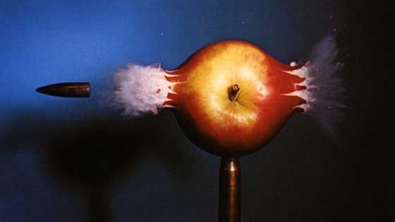 Random Objects Photography