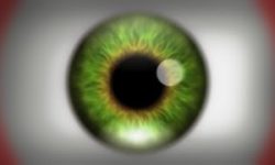 This Spinning Spiral Optical Illusion Will Blow Your Mind!