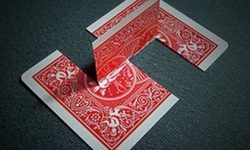 Cool Gifts for the Optical Illusion Enthusiast