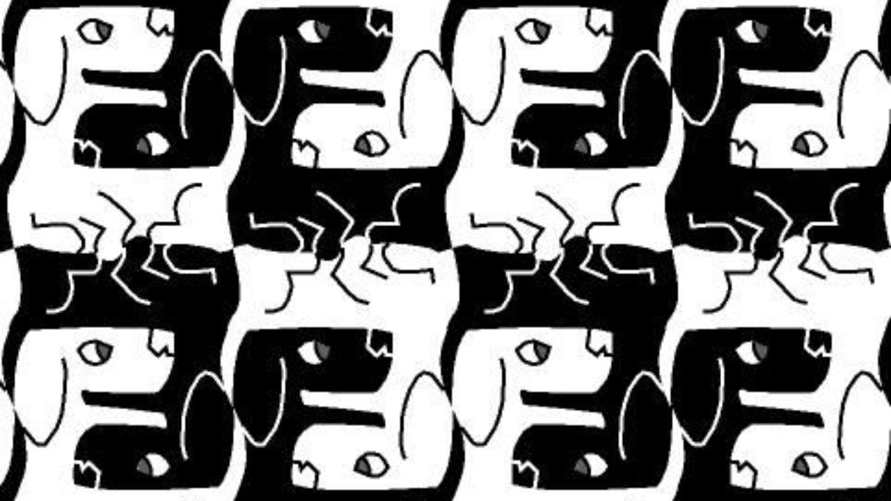 Dog Tessellation